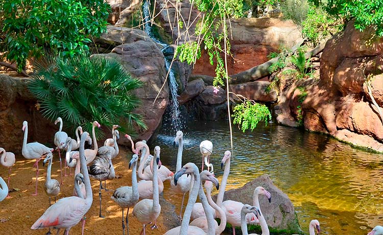 La mejor atracción familiar está en Málaga - BIOPARC Fuengirola