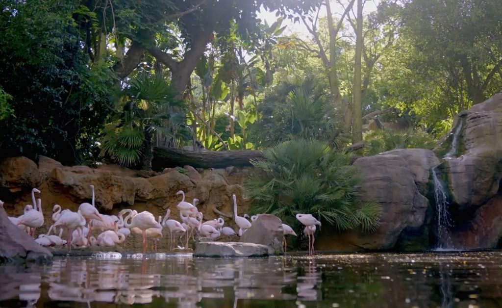 El agua: un recurso vital para garantizar el bienestar de los animales ...