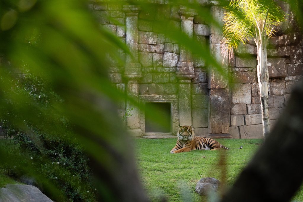 Bioparc Fuengirola - The World's Best Animal Parks - BIOPARC Fuengirola